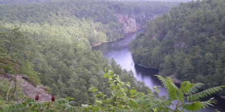 Barron Trump: Pläne der Anhänger für den Sohn von Donald Trump