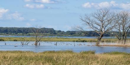IT-Sicherheit: BSI-Chefin fordert Konsequenzen nach Hackerangriff