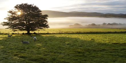 Morgennachrichten vom 11. Mai 2024 – Politik