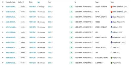 SHIB ile 2,5 Milyon Dolar Kaybetti: Şimdi Bu Meme Coin’i Aldı!
