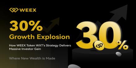 WXT Market Performance – 30% Growth Explosion: How WXT’s Strategy Delivers Massive Gain