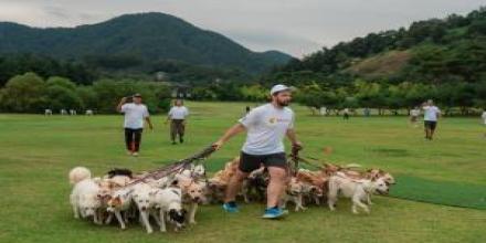밈코인 BONK, 한국서 유기견 38마리와 기네스 세계 신기록 경신