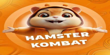 Комбо карты Hamster Kombat в телеграмм на сегодня – 14 сентября