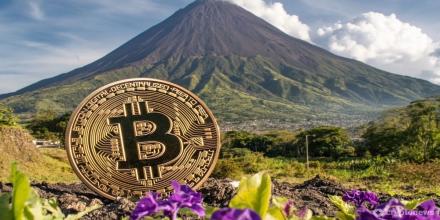 El Salvador Umfrage: Nur 7,5% der Bürger nutzen Bitcoin