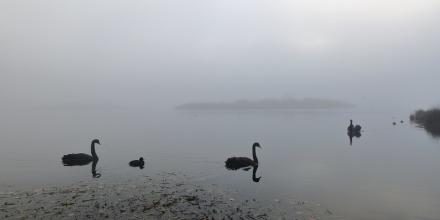 Es ist wieder soweit: Unsere Urlaubsumfrage beginnt!