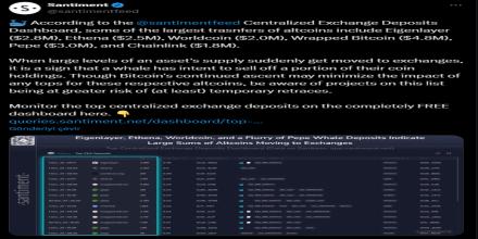 Balinalar PEPE Coin ve Bu 5’ini Satıyor! Bu 4’ünü ise Alıyor