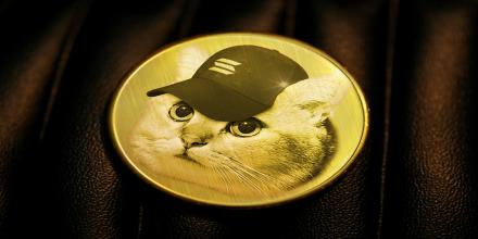SOLCAT Coin Nedir? CatSolHat Fiyat Yorumları ve Geleceği
