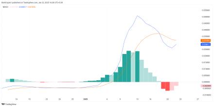 PIPPIN価格、56%上昇 = 過去最高値目指す