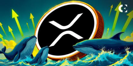 Las ballenas acumulan 60 millones de XRP en lo que podría ser una señal positiva