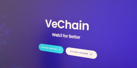 VeChain schließt Vertrag mit UFC und Power Slap, Kurs bleibt zurück
