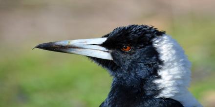 SPD für Abschaffung der 1-Jahres-Frist