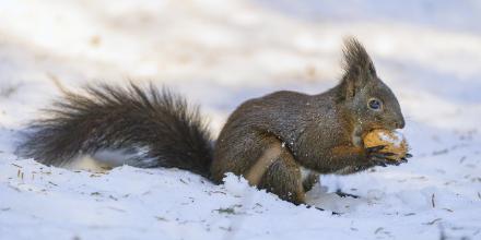 Trump begnadigt BitMEX-Gründer