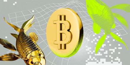Analist: Bitcoin, Likidite Artışıyla Altın’ın Yükselişini 100 Gün Gecikmeyle Takip Edecek