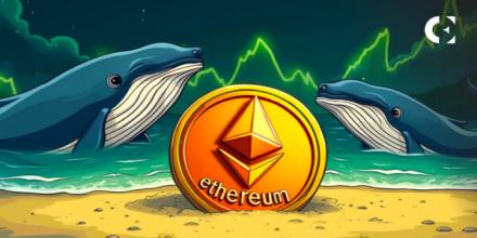 ¿Qué saben las ballenas de Ethereum que nosotros no?