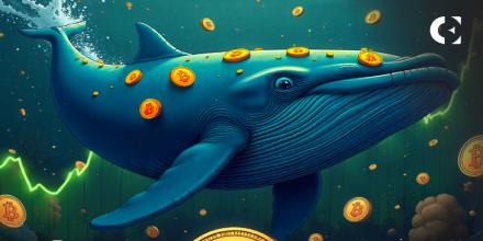 Las ballenas recogen USD 5 mil millones de BTC desde marzo, se hace eco del comportamiento del repunte previo al 80%