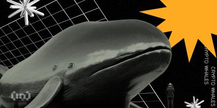 イーサリアムクジラ分裂:ETH投資家の未来は?
