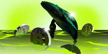 Ballena Bitcoin ejecuta movimiento sospechoso y arriesgado: ¿Sabe algo que el mercado ignora?