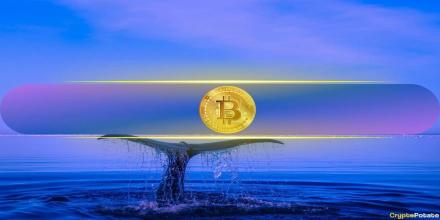 Crypto Whale Wynn Quits After Scoring $25M from $1.25B Bitcoin Bet