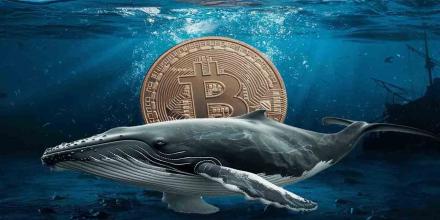 Las ballenas crypto impulsan el precio de Bitcoin con una compra de 30.000 BTC