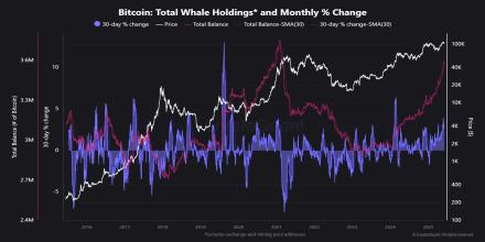 [주간 고래 관찰] 대형 홀더들, 2021년 최고치 수준으로 비트코인 매집 중