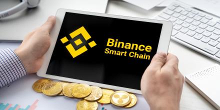 Binance Smart Chain Vakfı, Altcoin Alımına Başladı: İşte Aldıkları Tokenlar!