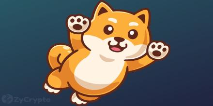 SHIB Burns Over 400 Trillion Tokens as Shiba Inu Army Envision 195% Price Explosion