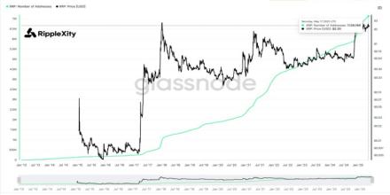 XRPレジャー、今週記録的な取引数と成長を達成