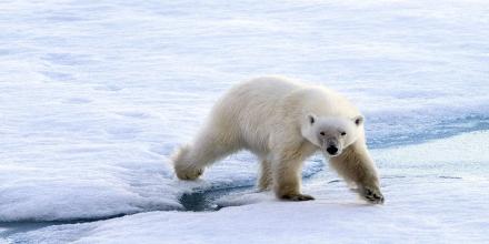 Wie kann man die Klimabelastung durchs Bitcoin-Mining senken?