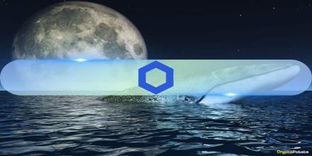 Chainlink’s Consolidation Echoes Bitcoin’s 2023 As Retail Apathy Meets Whale Hunger