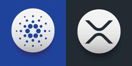Cardano and XRP Ecosystem Link Up as Tokeo Wallet Eyes XRPL Integration