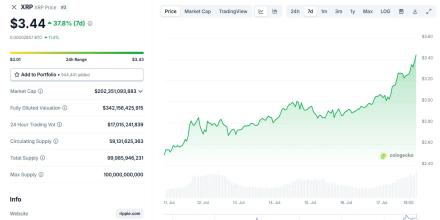 XRP-Kurs Erreicht Neues Allzeithoch Dank Neuer Investoren