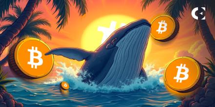 Bitcoin se mantiene fuerte mientras las ballenas absorben las ventas minoristas de Binance