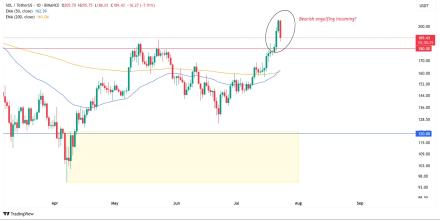 Падение SOL до $180 может стать идеальной точкой входа перед новым ростом