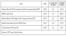 지금 시장에서 가장 인기 있는 ETF