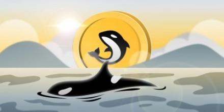 Orca запускает Wavebreak — новый лаунчпад для токенов Solana
