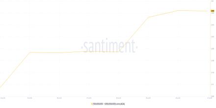 Какие альткоины покупают киты, чтобы заработать в августе