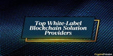 Top 10 White Label Blockchain Solution Providers