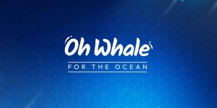 “Crypto Needs a Cause”: Oh Whale Co-Founder on Building a Transparent, Impact-Driven Token