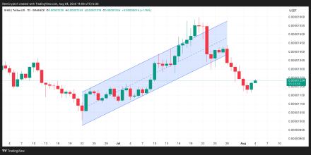 Shiba Inu Düşüşte—Ancak Balina Aktivitesi ve HODL Deseni İyileşme Sinyali Veriyor