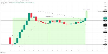 2025年8月注目のミームコイン3選