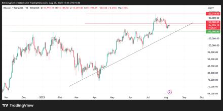 Bitcoin’s Post-ATH Amnesia: Price Trapped in “Low-Liquidity Air Gap”