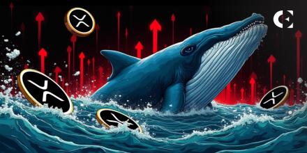 Las ballenas XRP están vendiendo nuevamente en un patrón que llevó a caídas de precios pasadas