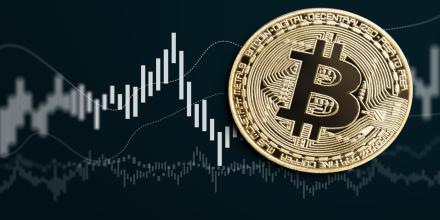 50 Milyar Dolarlık Fonu Yöneten Harvard, Ne Kadarlık Bitcoin’i Olduğunu Açıkadı!