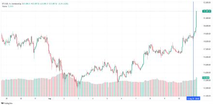 Что случилось на крипторынке, пока все спали — обзор от 11 августа