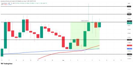 Три мемкоина, которые заслуживают внимания на второй неделе августа