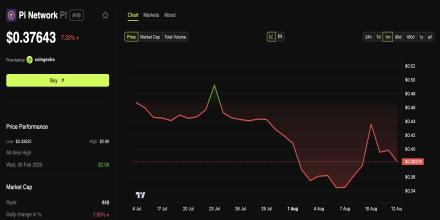 GCV Tartışması: Pi Network’ün Kodu Her Zaman 314.159 Dolar Fiyatı mı Planladı?
