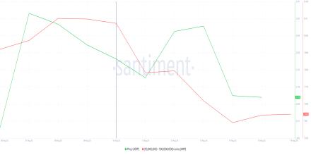 XRP Price Finds Support at $3 Even as Whales Note $1.2 Billion Sell-Off