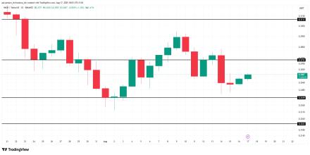 3 Altcoins To Watch In The Third Week Of August 2025