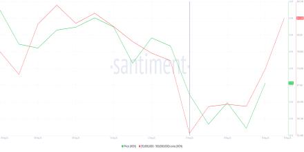 Can Onyxcoin Whales’ 250 Million XCN Accumulation Undo July’s Price Losses?