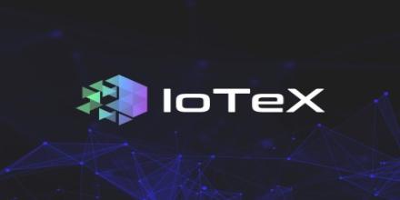 Animoca Brands вложилась в IoTeX для развития ИИ